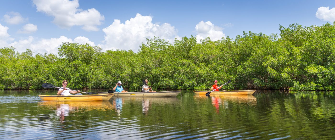Ultimate Everglades Kayaking Guide | Everglades Activities