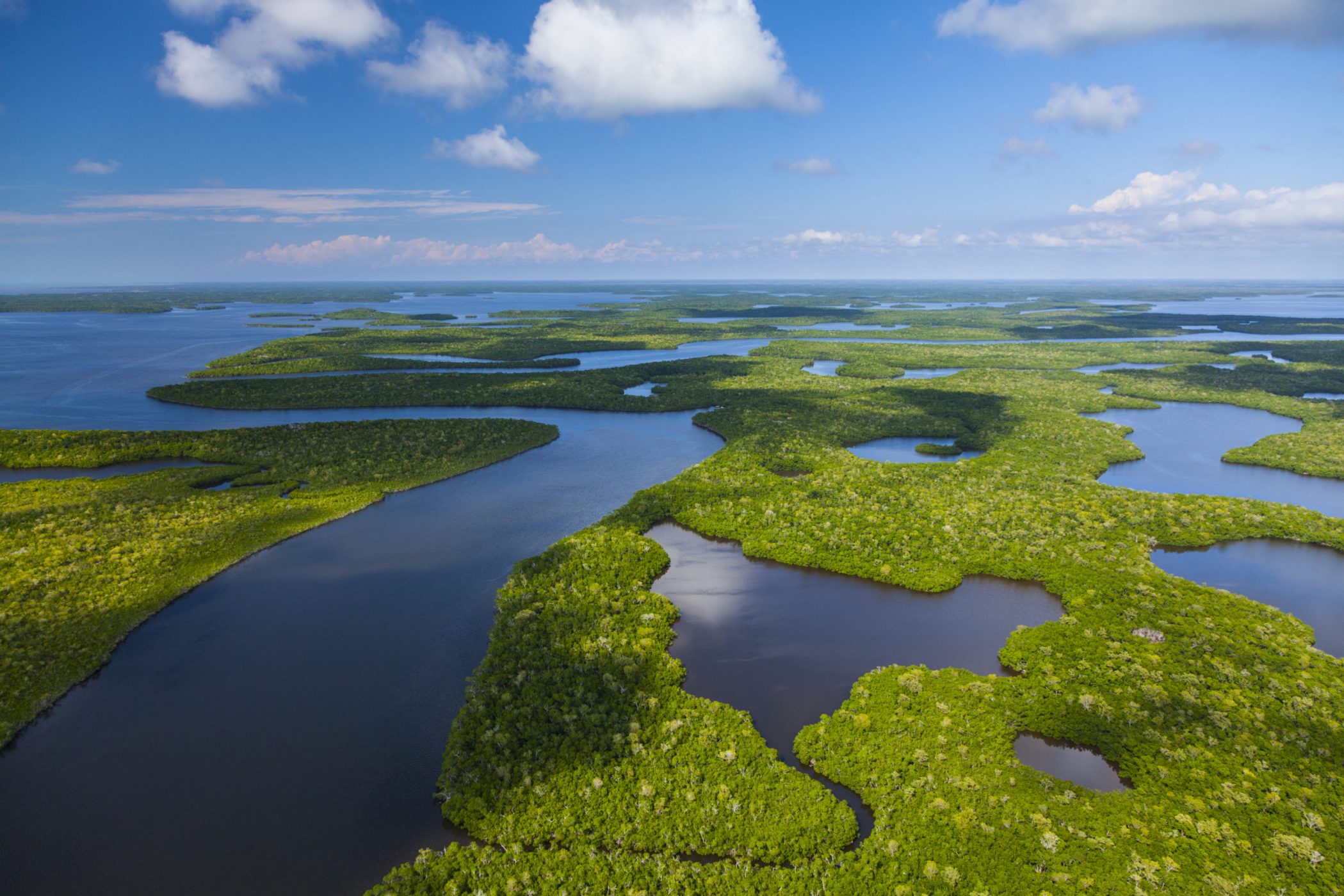 The Best Time to Visit the Florida Everglades | Everglades Activities